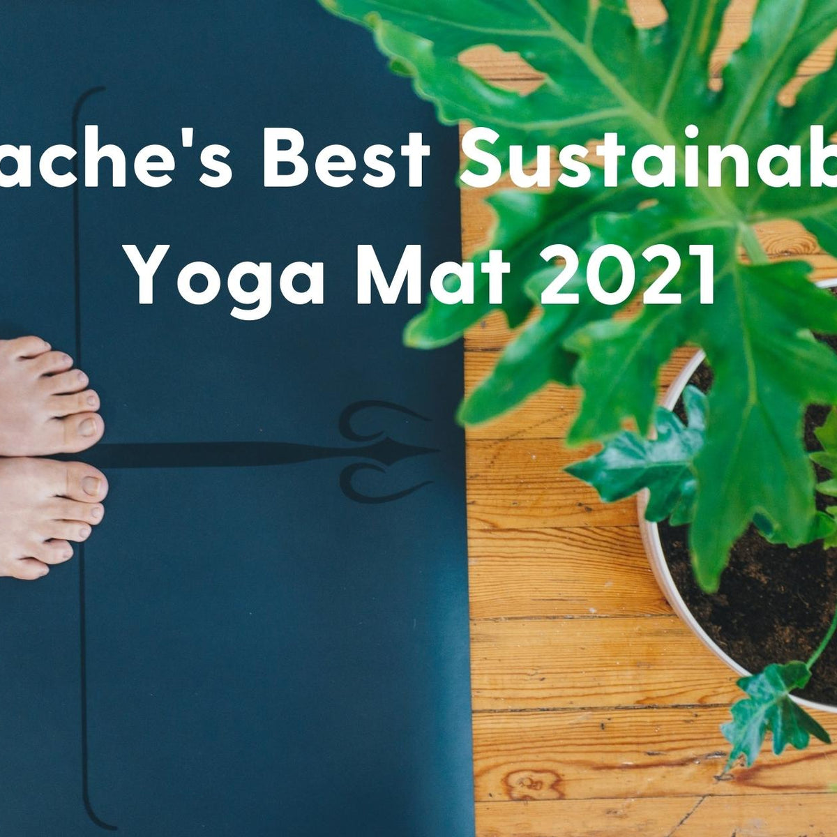 Mache presents the Best Sustainable Yoga Mat Contest of 2021