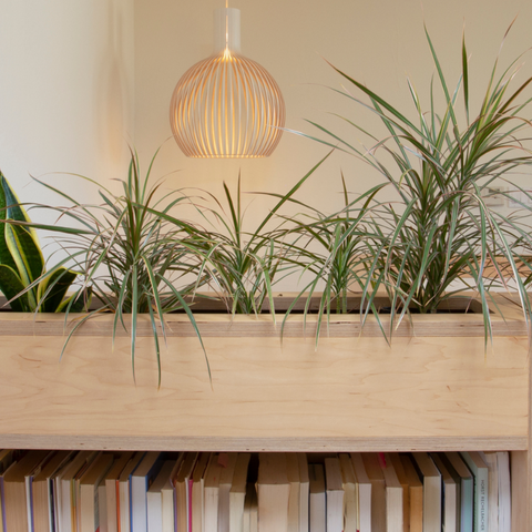 Book a Virtual Design Consultation with Sustainable Interior Designers ...