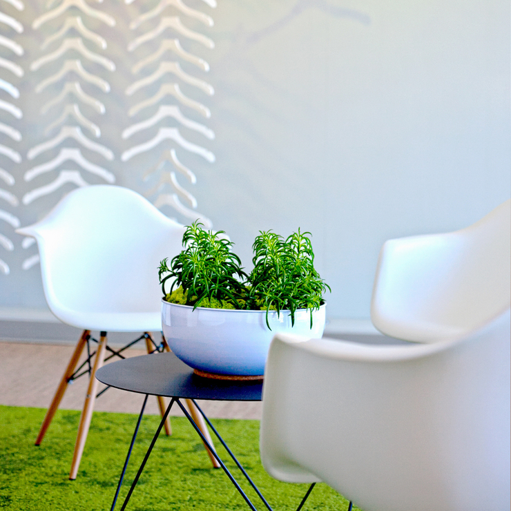 Sustainable Wellness Interior Design – Mache